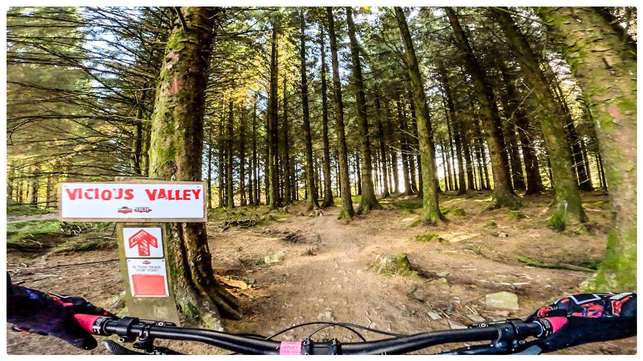 BIKE PARK WALES - Vicious Vally Into Surfin Bird and Bush Wacker | POV ...