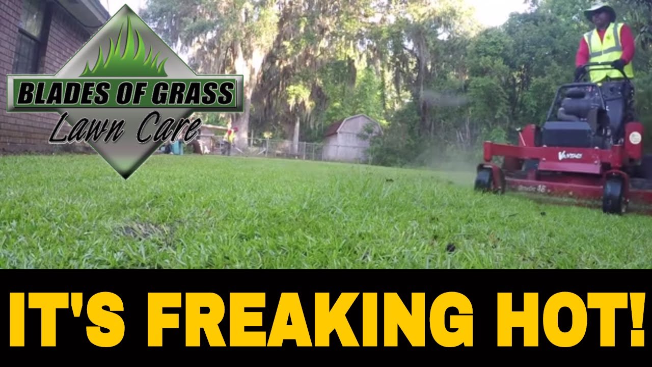 Double cutting lawns all day | lawn care - YouTube