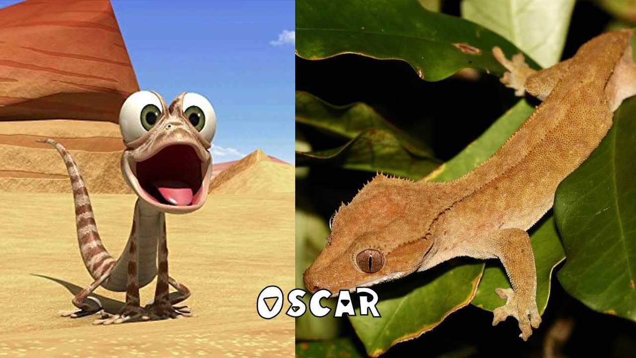 오스카의 오아시스 (Oscar's Oasis) 실생활의 캐릭터 - YouTube