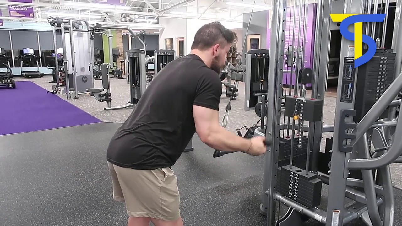 Cable EZ Bar Reverse Grip Tricep Extension - YouTube