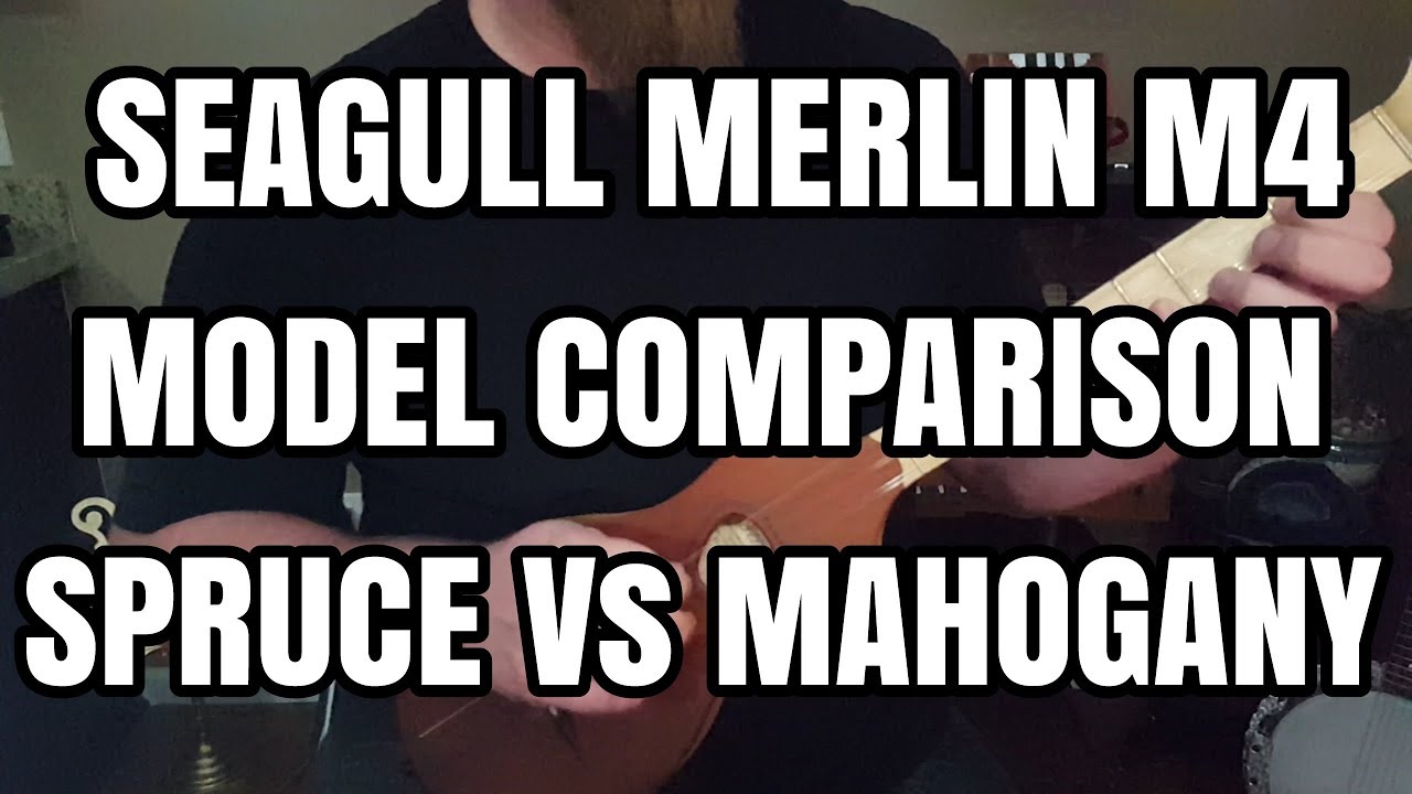 Seagull Merlin M4 Model Comparison - YouTube