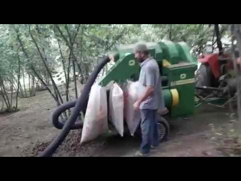 Hasatsan H 2200 raccoglitrice per nocciole