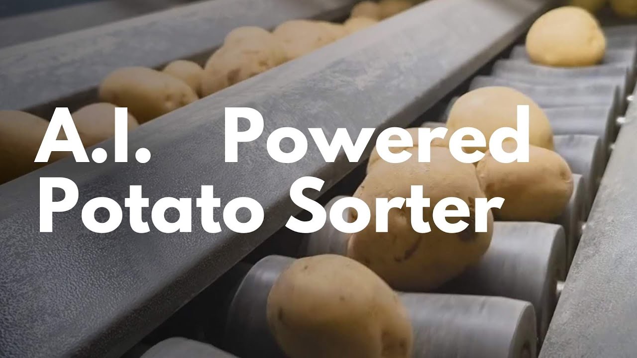 AI powered Potato Sorter | India's smartest potato grading and sorting ...