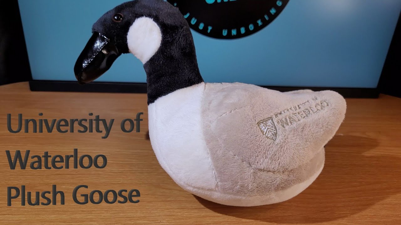 University of Waterloo's Adorable Mascot: The Plush Goose Phenomenon ...