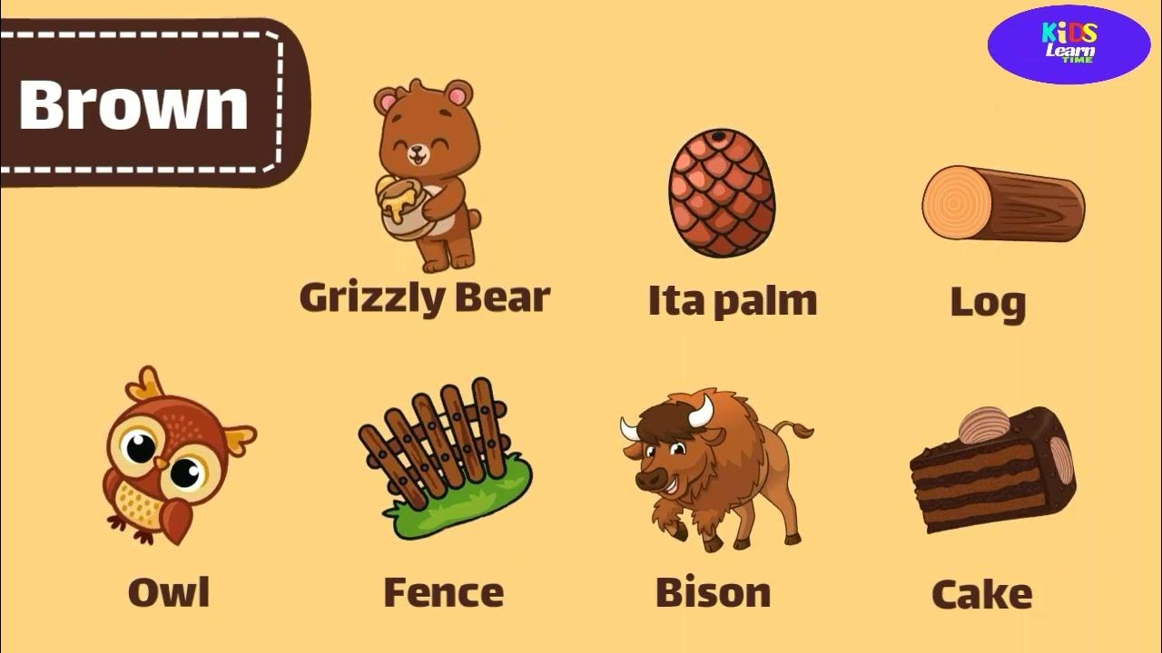 Things that are brown Learning Colors for Kids | brown colour objects ...