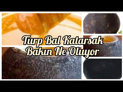 SİYAH TURP ve BAL Öksürükten kurtulmanın, bronşları ve akciğerleri temizlemenin en hızlı yolu.