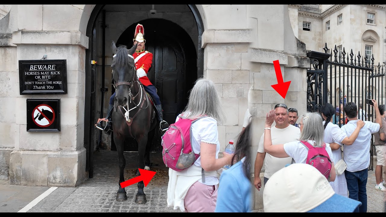 She Didn’t Know Why the Guard Was Yelling… Then a Tourist Pointed at ...