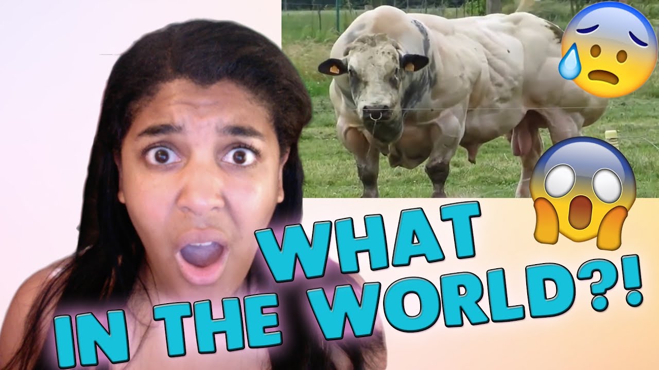 WHAT IN THE WORLD?! || ALLTIME10s "10 TERRIFYING CREATURES CREATED BY ...