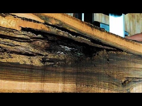 Because the wood was damaged, I kept thinking about it until I couldn't sleep. sawmill.