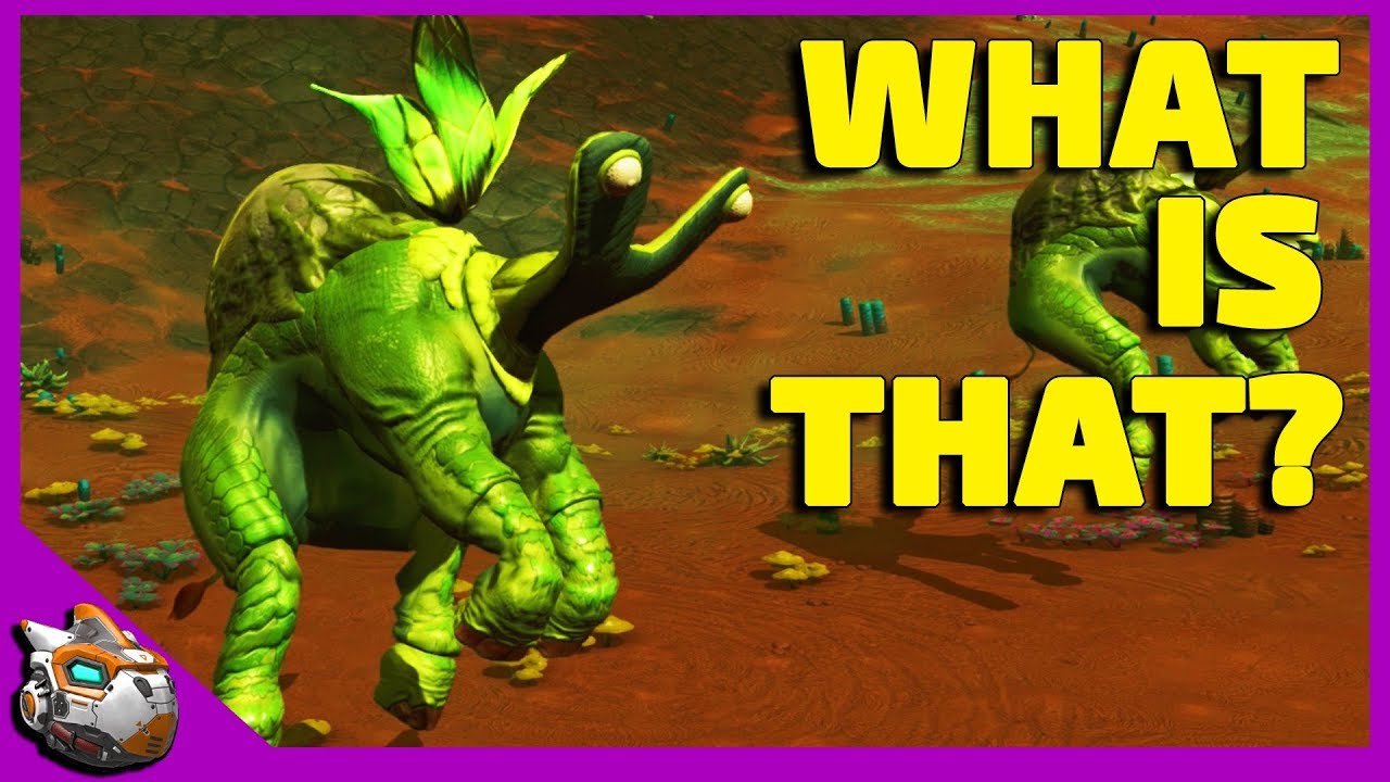 The Strangest Animal I Have Seen in No Man's Sky - YouTube