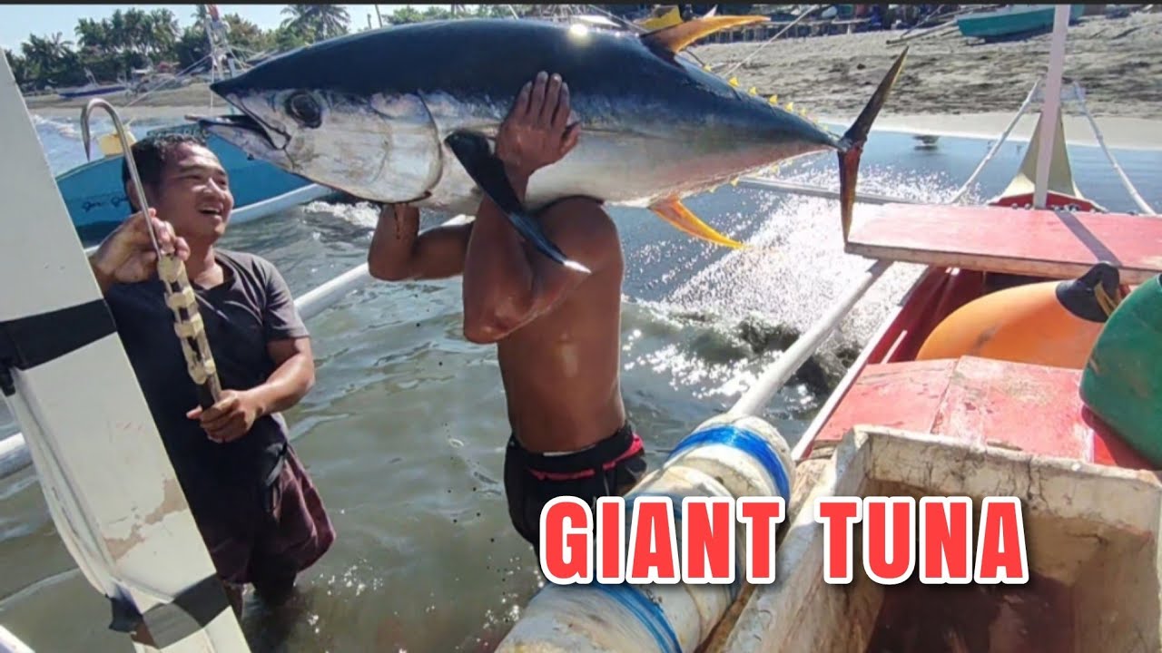 CATCHING GIANT TUNA IN WEST PHILIPPINE SEA | TUNA FISHING - YouTube