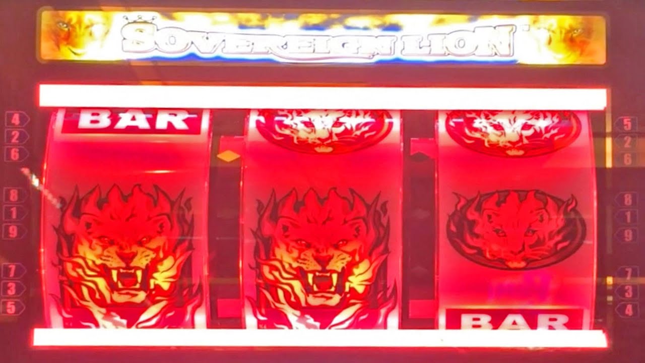Sovereign Lion slot machine, Double, Bonus or Bust - YouTube