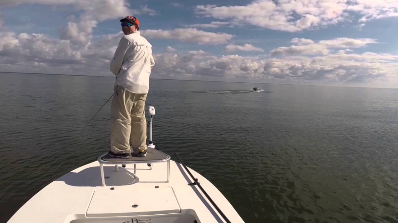 Eagle Ray Jumping - YouTube