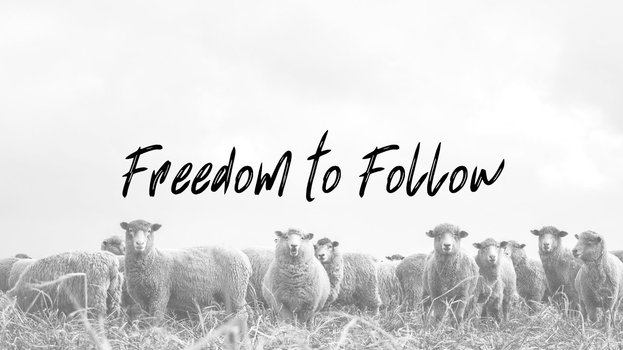 Freedom to Follow | Darren Wykes | 19.04.2020 - YouTube