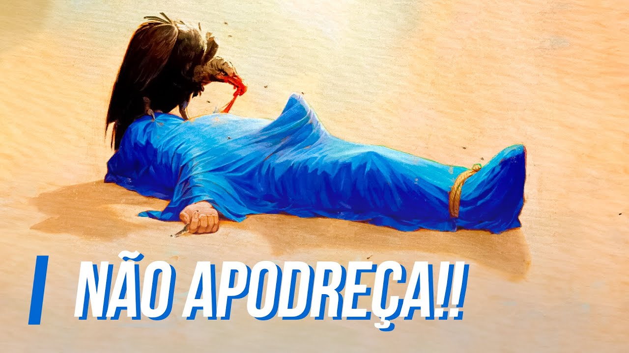 ROTTING IN THE SUN - UM FILME COMPLETAMENTE CAÓTICO E REFLEXIVO - YouTube