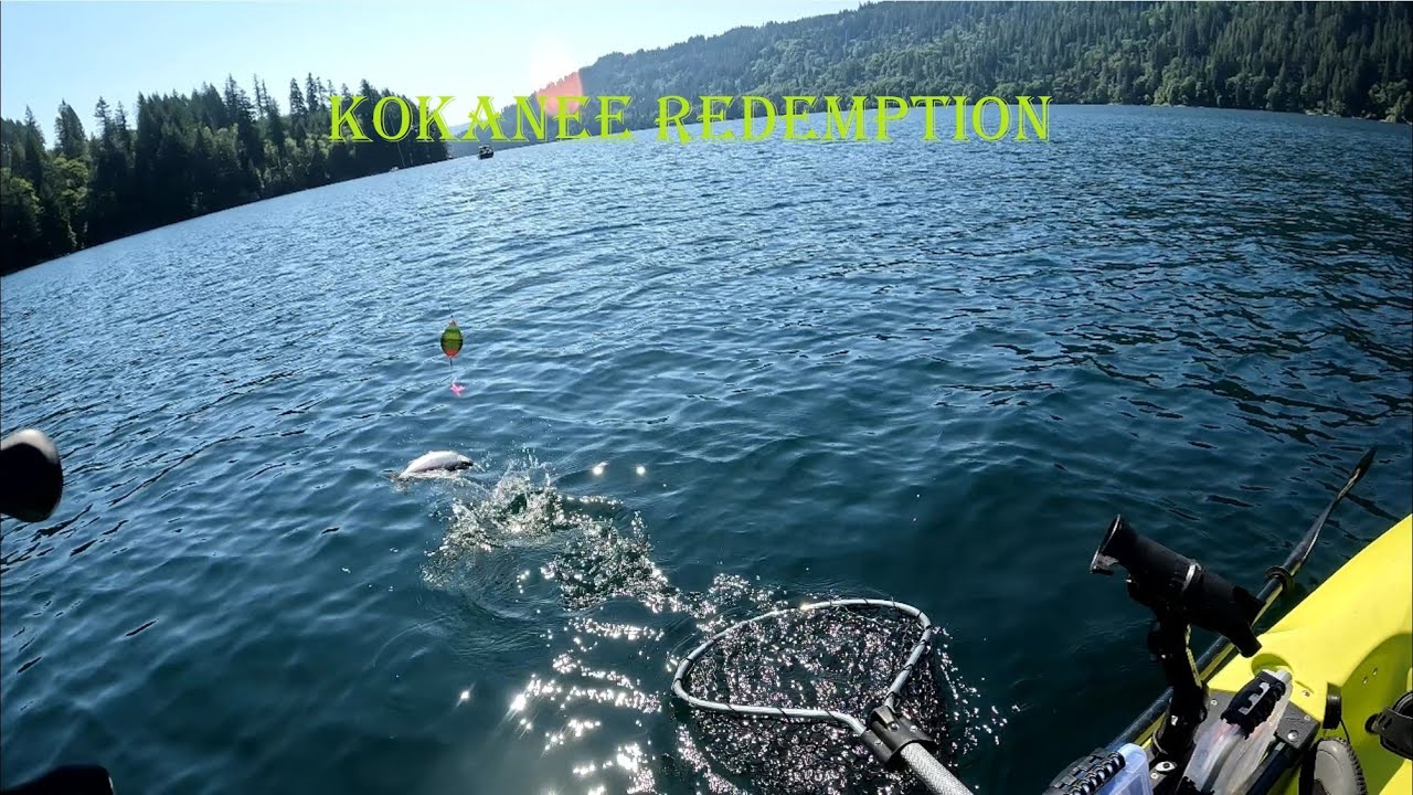 Kayak fishing: Trolling Lake Merwin for Kokanees and Northern ...
