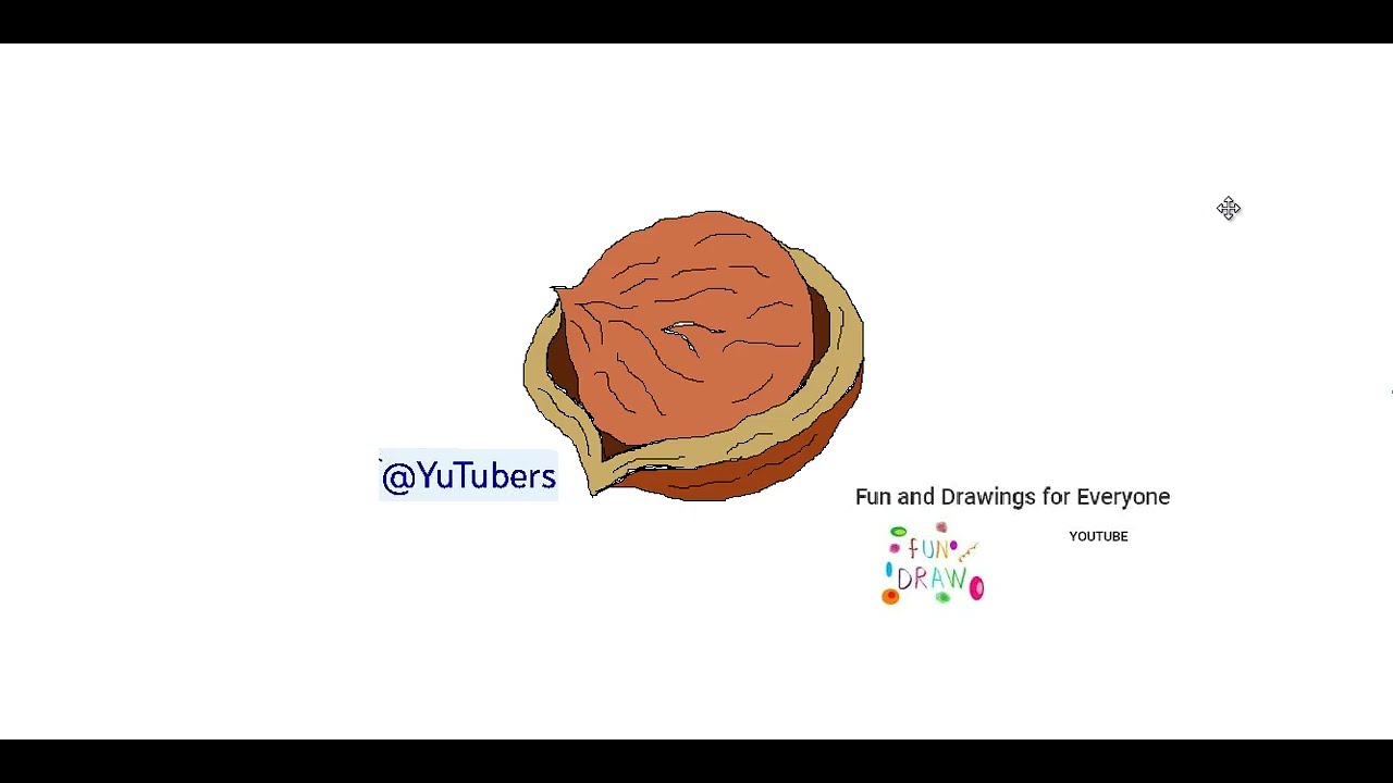 Comment dessiner une noisette - YouTube