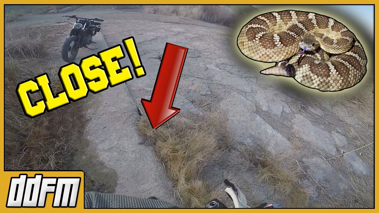 Motorcyclist Almost Steps On A Rattle Snake!! - Motorcycling Gone Wrong ...