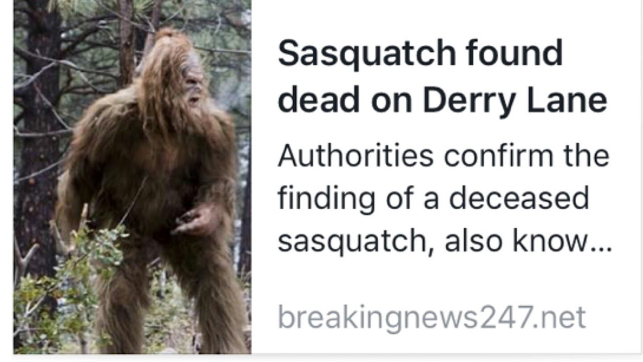Was Bigfoot found dead in Westmoreland County there's an article going ...