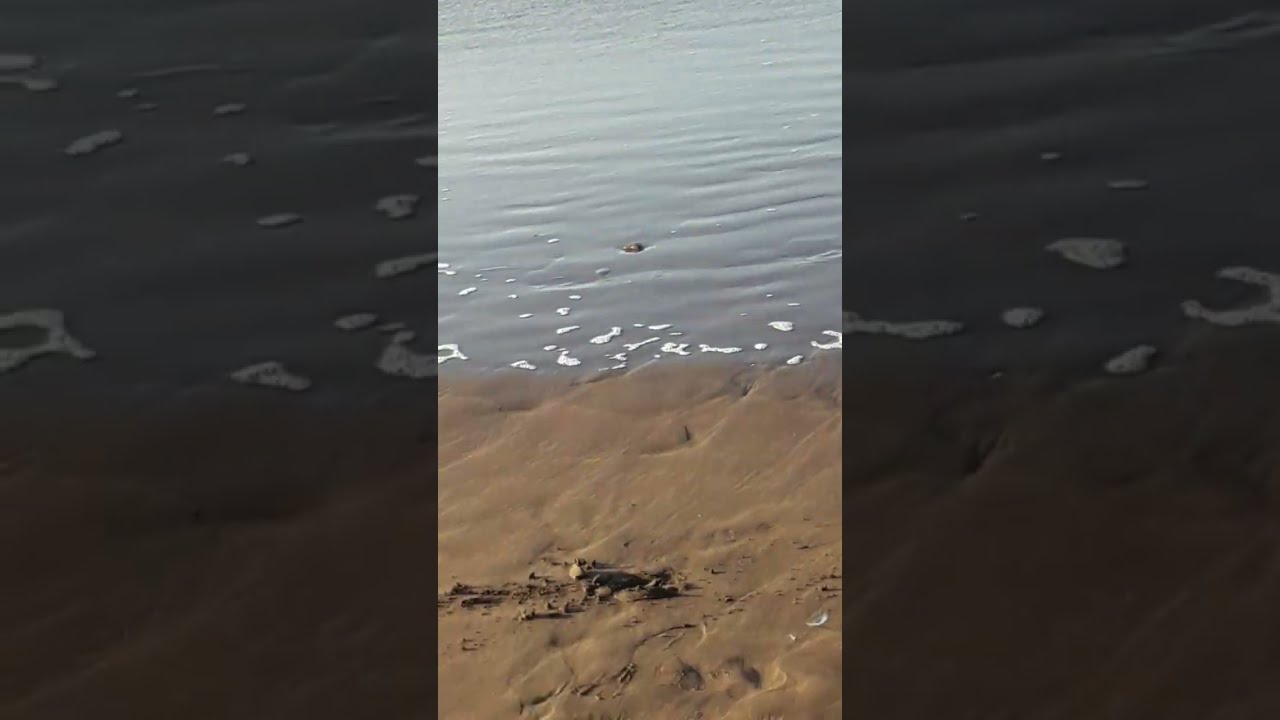 anfa beach 🏖🏖 - YouTube