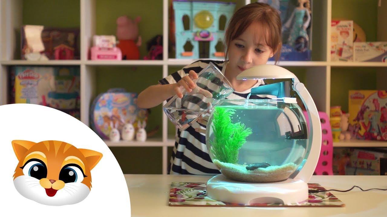 Akwarium kula Tetra Cascade Globe - YouTube
