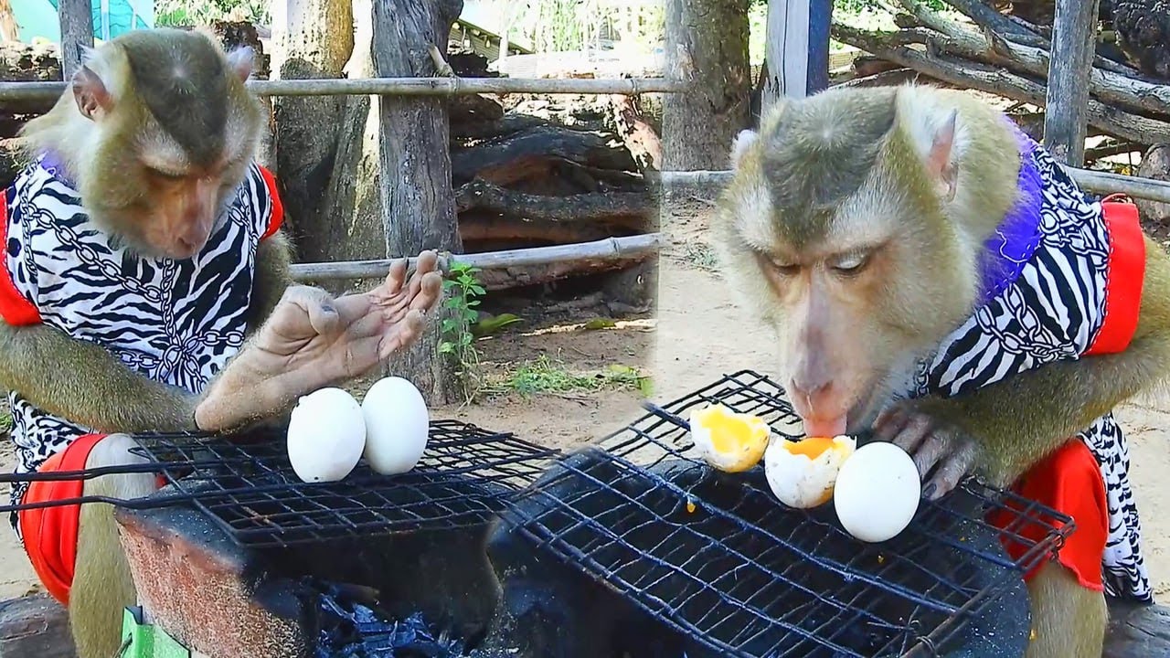 SokYaa Show Cooking Skills - Incredible Chef Talent Caught - YouTube