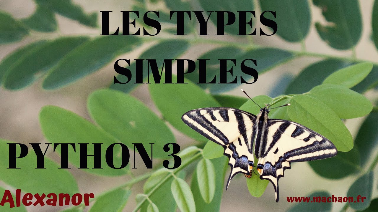 Programmation Python #3 - les types simples - YouTube