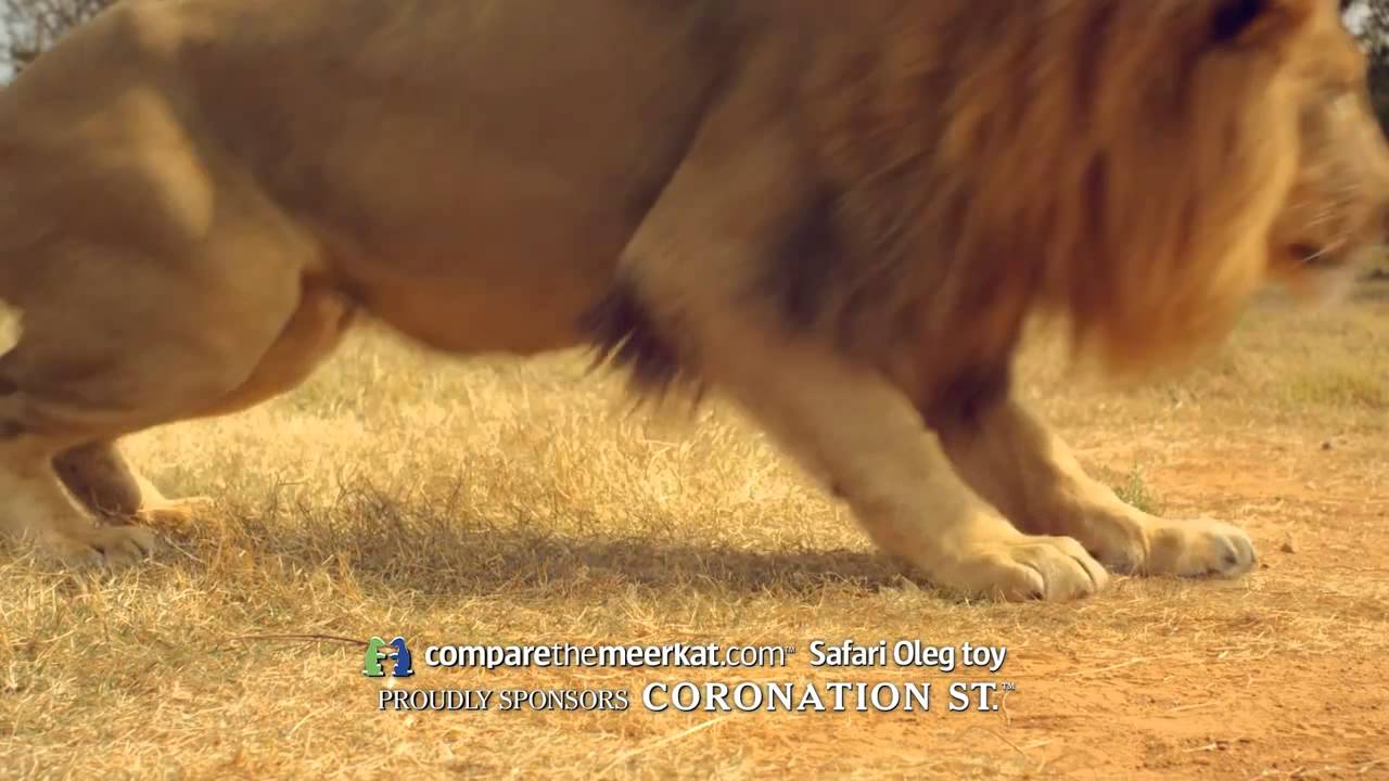 Fat Oleg gets sat on by the obese lion - YouTube