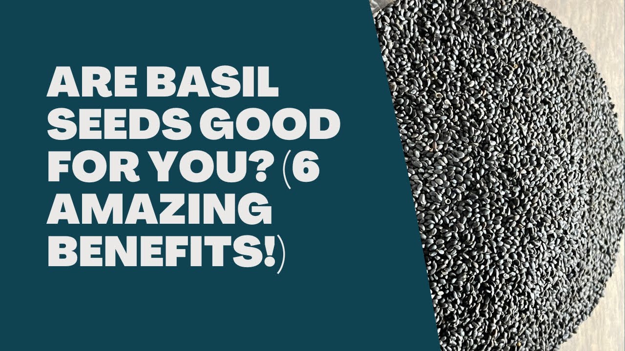 Are Basil Seeds Good For You? (6 Amazing Benefits!) - YouTube