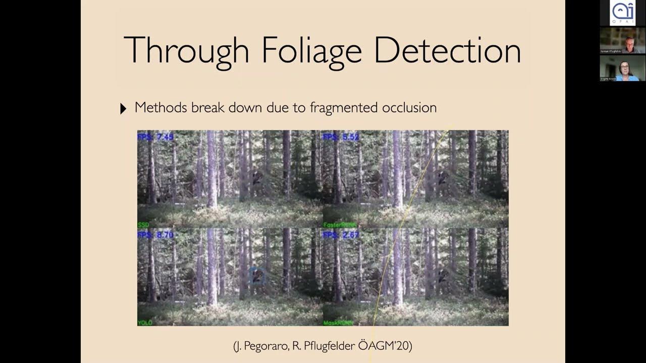 Fragmented Occlusion in Computer Vision (OFAI Lecture by Roman Pflugfelder) - YouTube