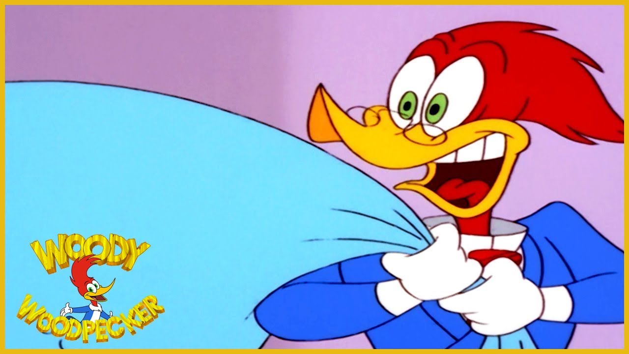 Woody Woodpecker Show | 1 Hour Compilation | Cartoons For Children ...