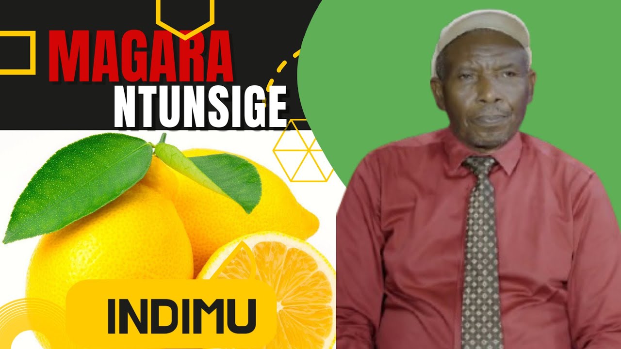 MAGARA NTUNSIGE: AKAMARO K'INDIMU - YouTube