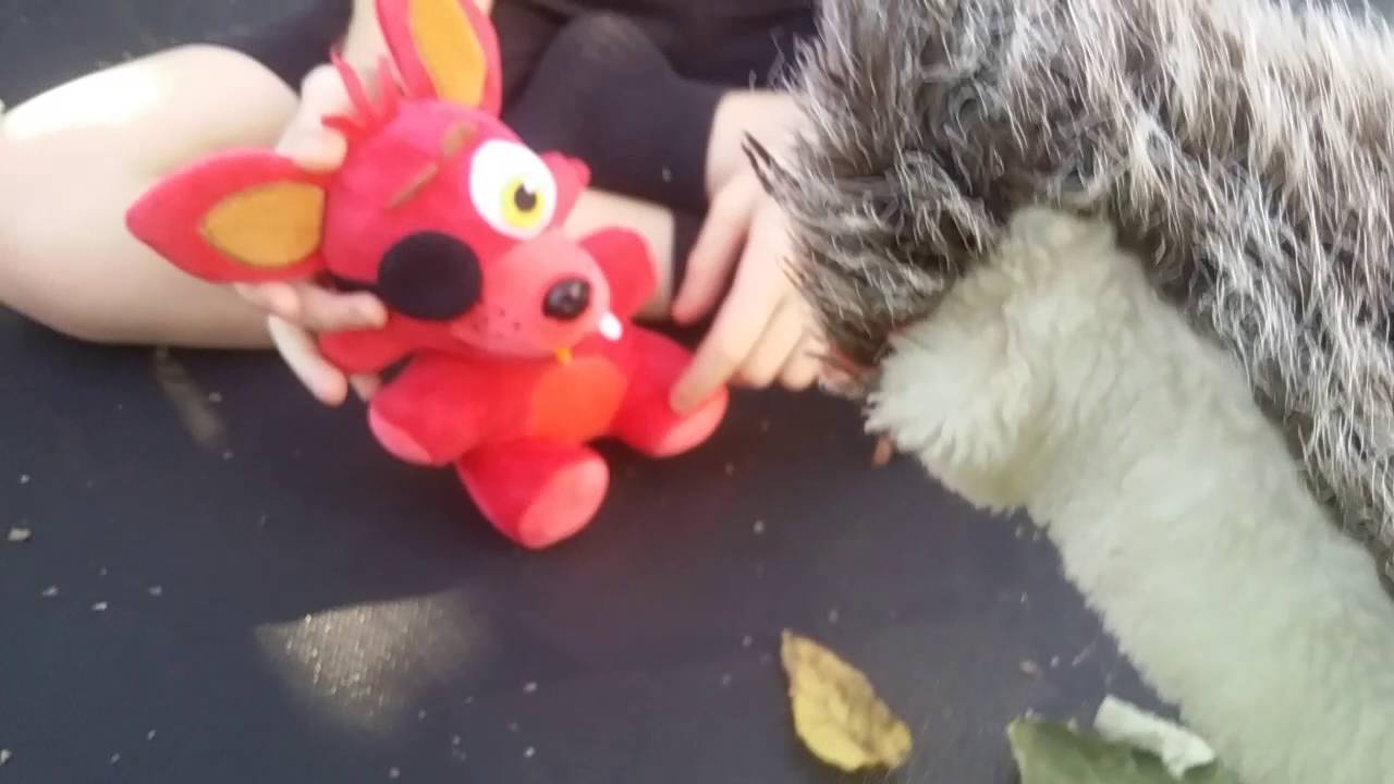 Foxy's day at the park - YouTube