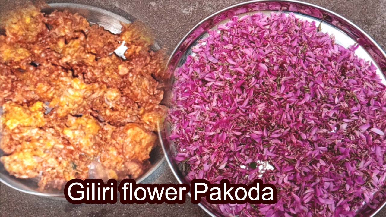 ଗିଲିରି ଫୁଲ ପକୁଡି | girel phool pakoda Forest Flower | Girehel phool ...
