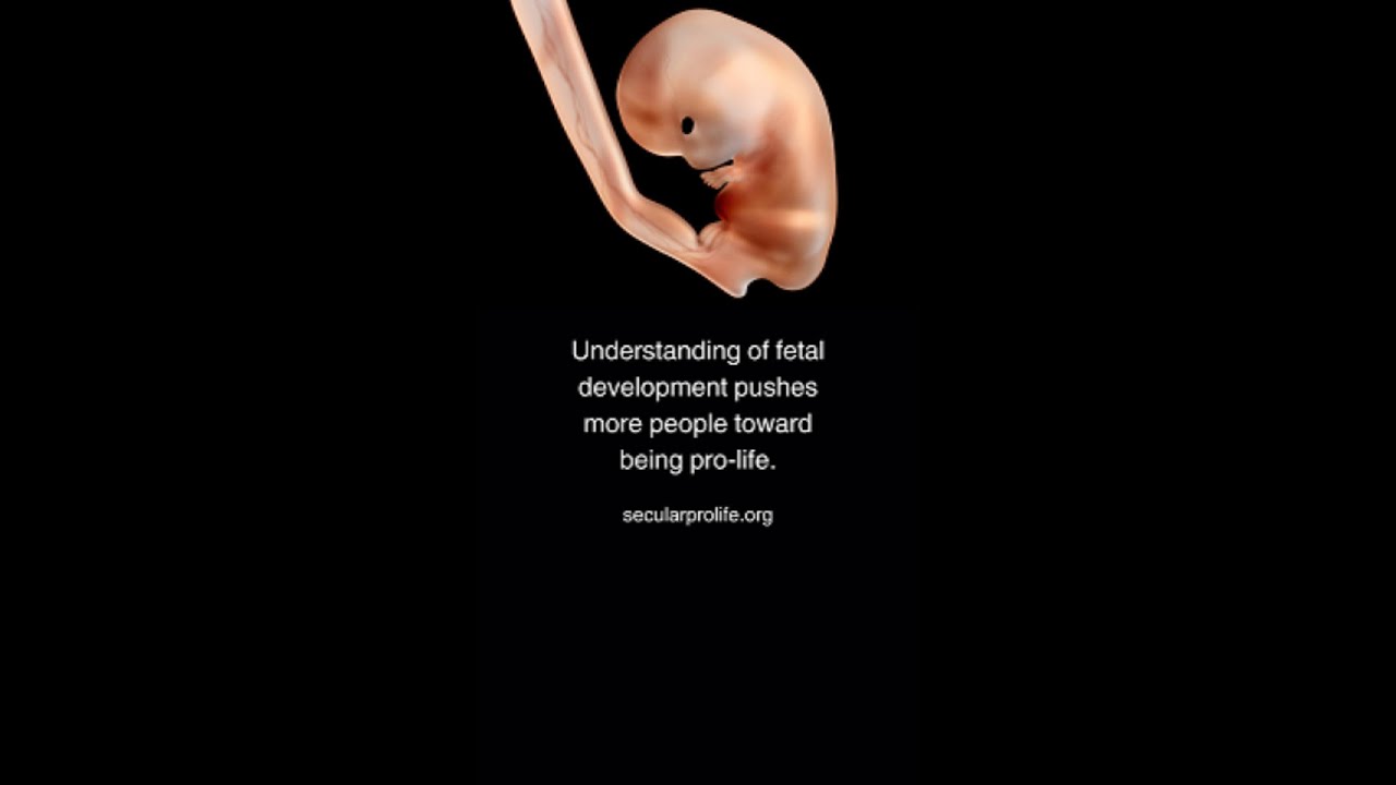 Understanding of fetal development pushes more people toward being pro ...
