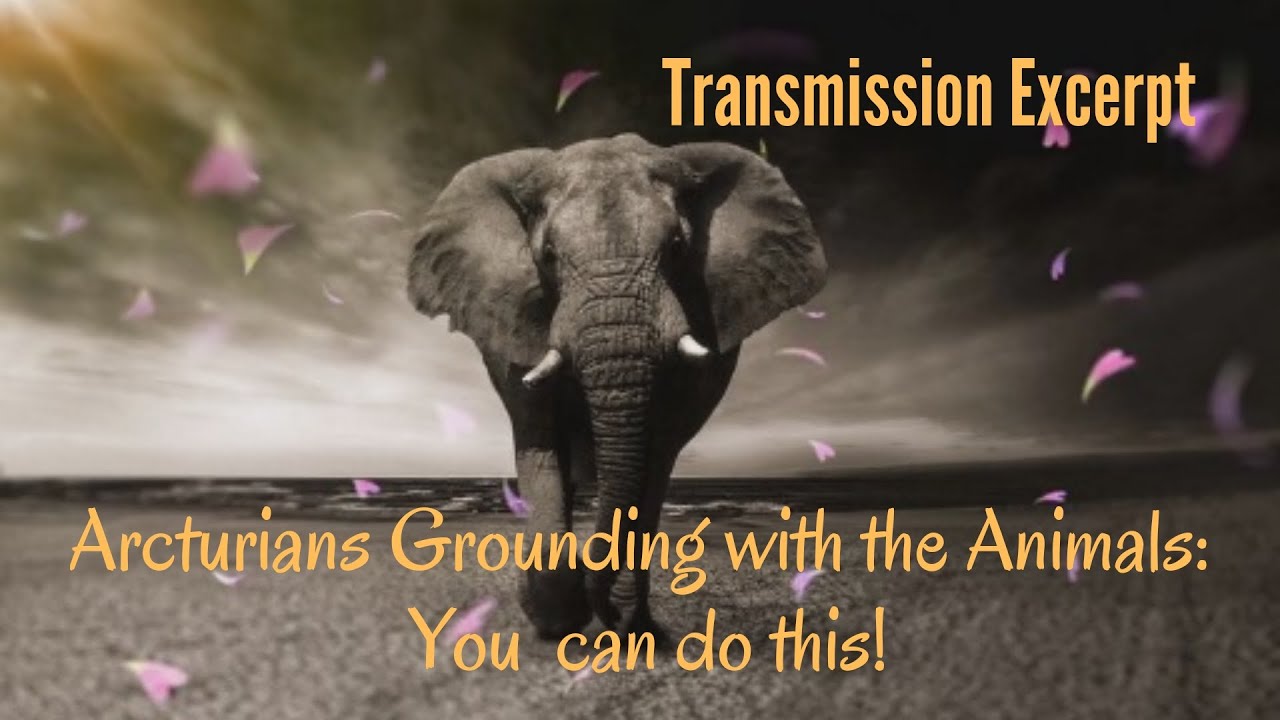 Arcturians Transmission & Grounding with the Animals: You can do this ...