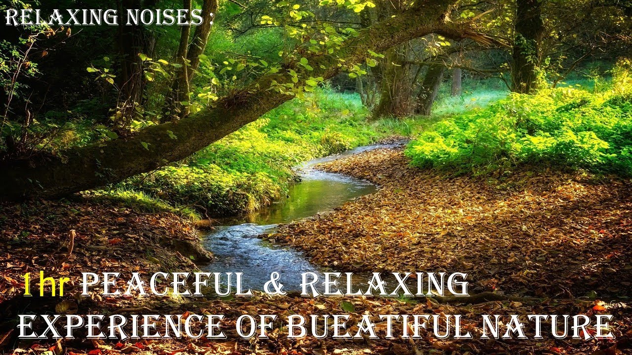 Nature Sound || Relaxing and Calm Noises || Healing Sound of Gentle ...
