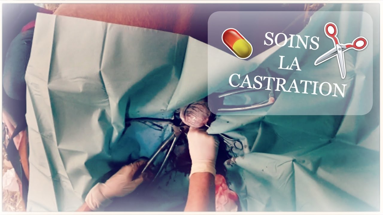 💉[SOINS] LA CASTRATION AME SENSIBLE S'ABSTENIR💉 - YouTube