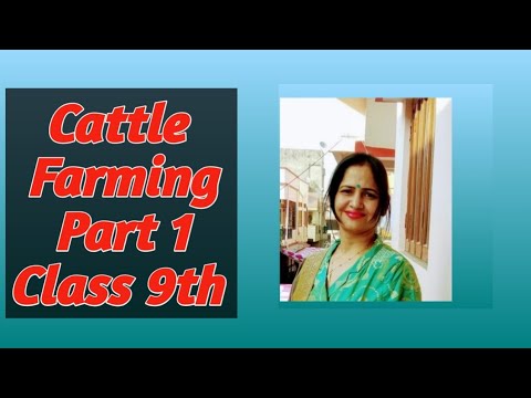 Cattle farming part 1 for ntse class 9th by Rekha ma'am - YouTube