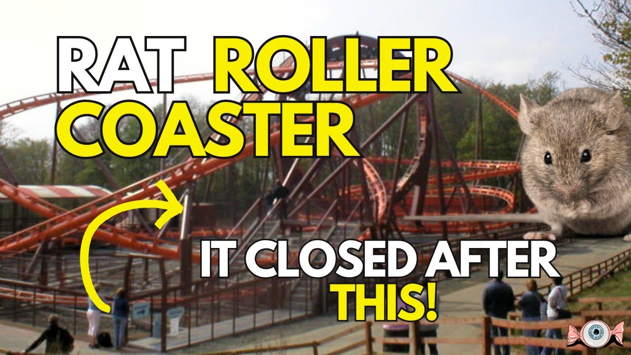 The Rat Roller Coaster Accident | Mark Blackwood accident in Loudoun ...