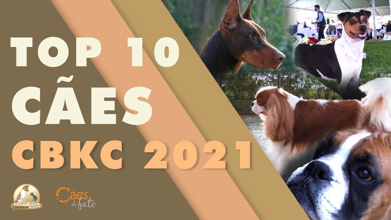 Ranking CBKC 2021 | Cinofilia Digital - YouTube