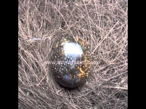 MUSTIKA SAPTO DARMO - YouTube