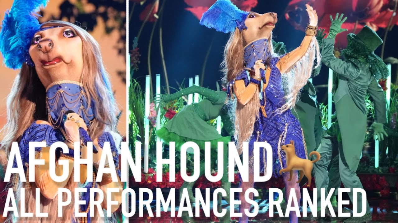 All Afghan Hound Performances Ranked (The masked singer US) - YouTube