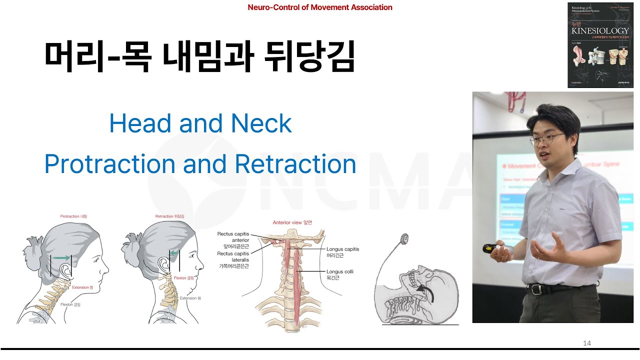 [뉴만 기능해부학-척추편 기초] 머리-목 내밈과 뒤당김 Cranial-Cervical protraction and ...