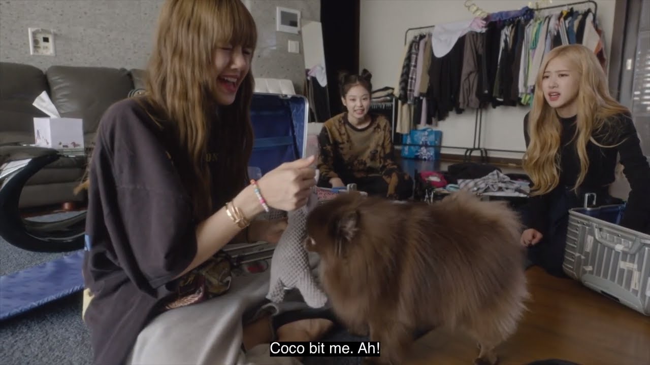 Lisa : "Coco Bit Me" | BLACKPINK: LIGHT UP THE SKY - YouTube