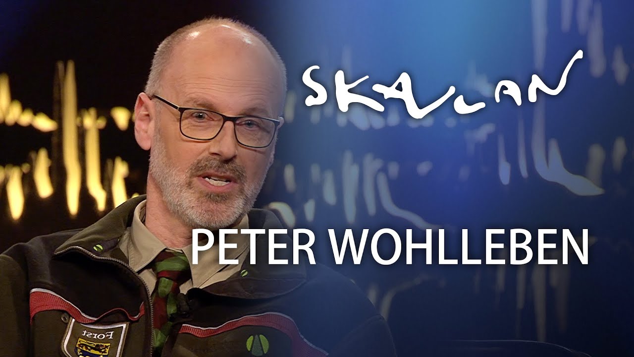 "The Hidden Life of Trees" Peter Wohlleben | Interview | SVT/NRK ...