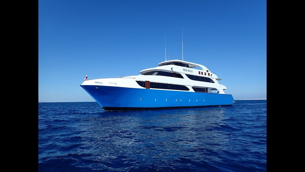 Big Blue Liveaboard Egypt 2022 - YouTube