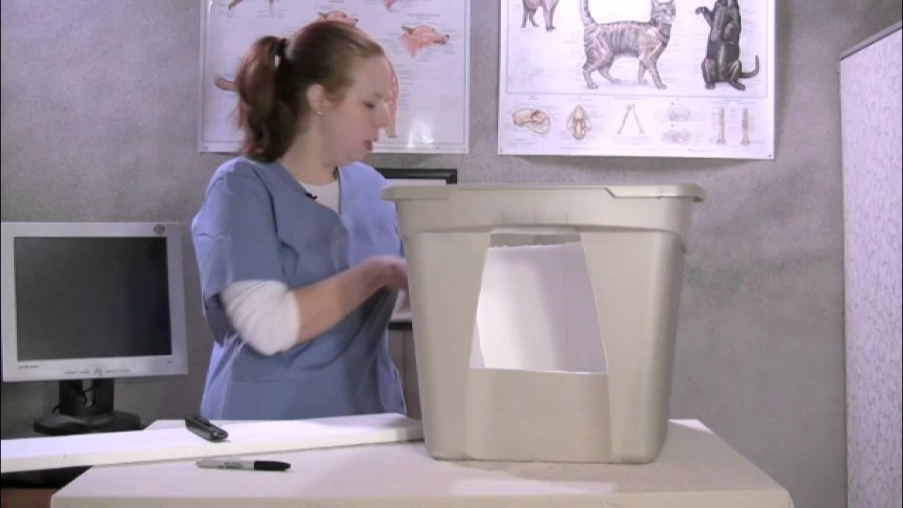 How to Build a Cat Shelter - YouTube