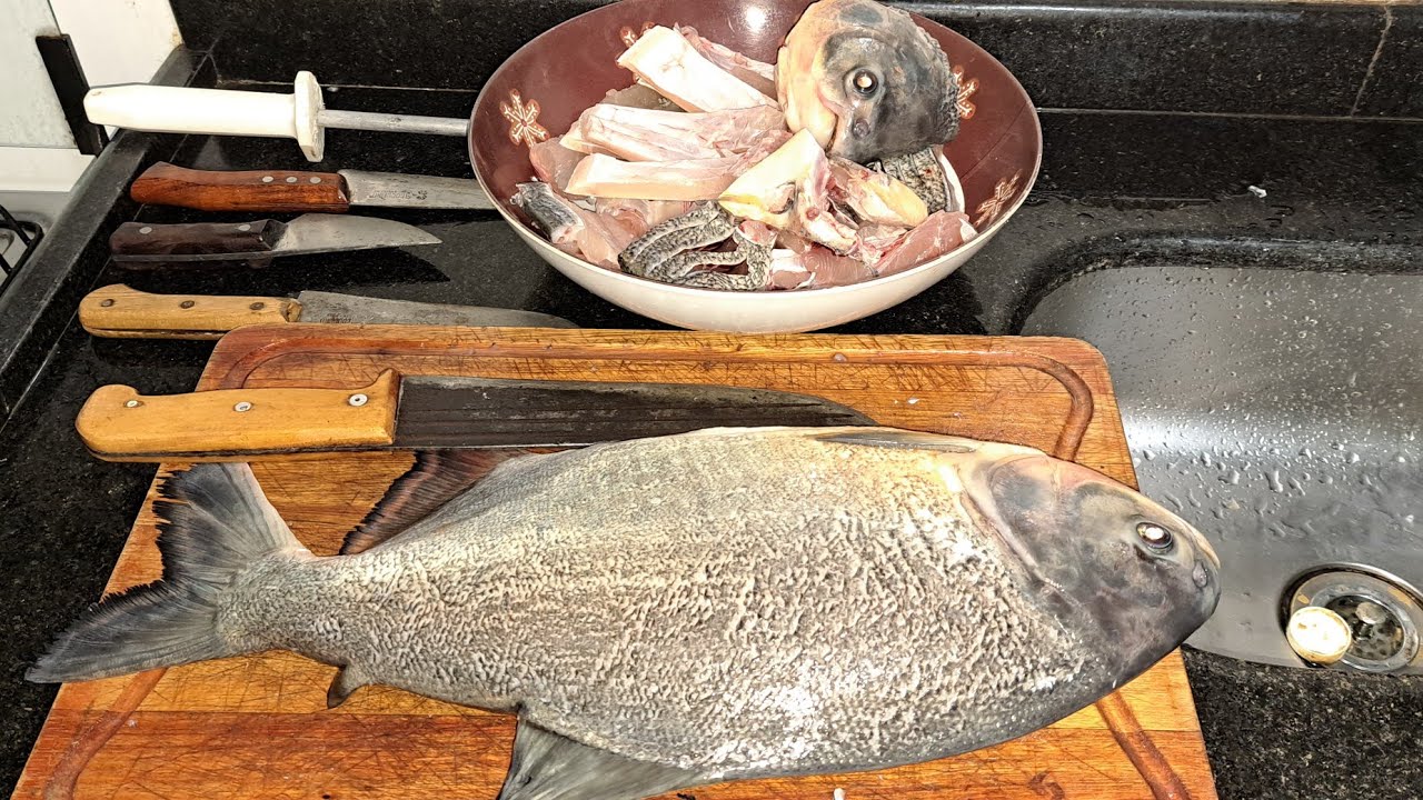 FAZEMOS UM PACU FRITO DELICIESE - YouTube