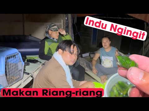 Menajur | Makan Riang-Riang Goreng/Indu Ngingit - YouTube